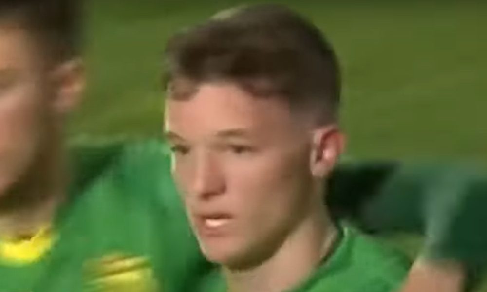 Perkovic Inter, il RETROSCENA: venne CONSIGLIATO da quel tecnico prima ...